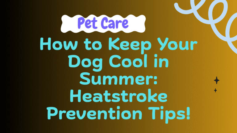 How to Keep Your Dog Cool in Summer: Heatstroke Prevention Tips